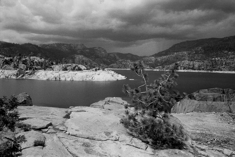 Along the Sierra’s Wishon-Balch Camp Road | Bill Poole